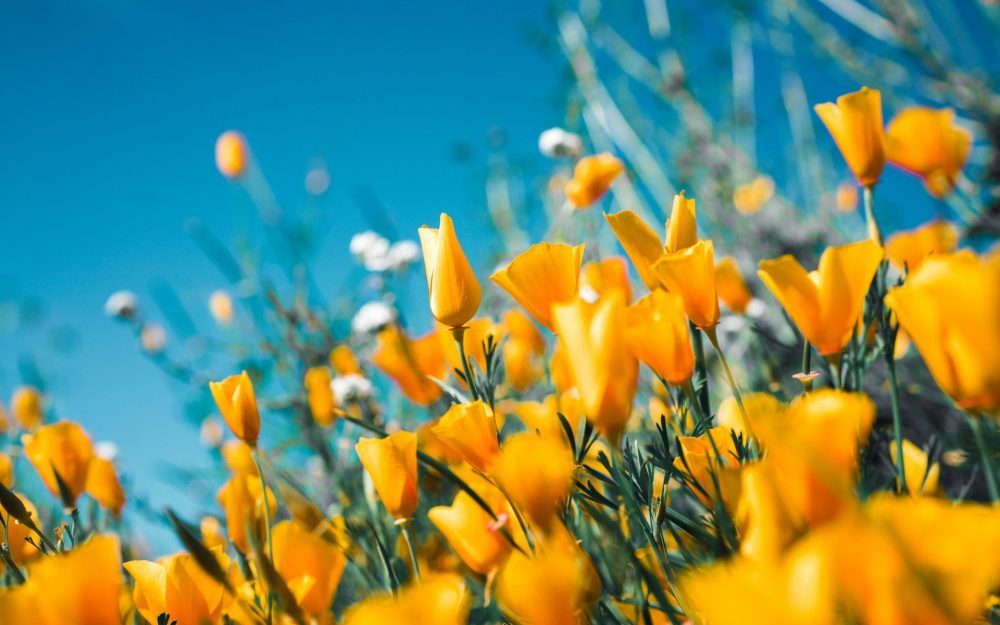 Mother without child: A Mother's Day reflection - U.S. Catholic