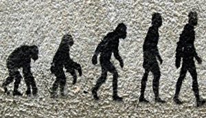 Do Catholics believe in evolution? - U.S. Catholic