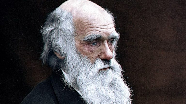 Why should Catholics care about Darwin? | U.S. Catholic