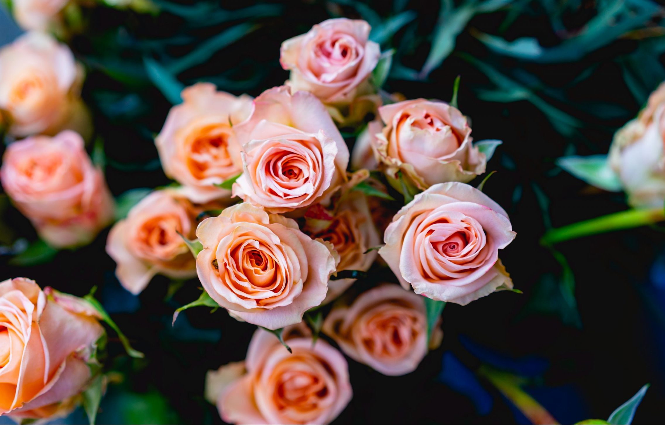 Tears and roses can help in difficult times | U.S. Catholic