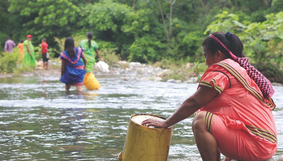 For true ecological conversion, broaden your worldview - U.S. Catholic