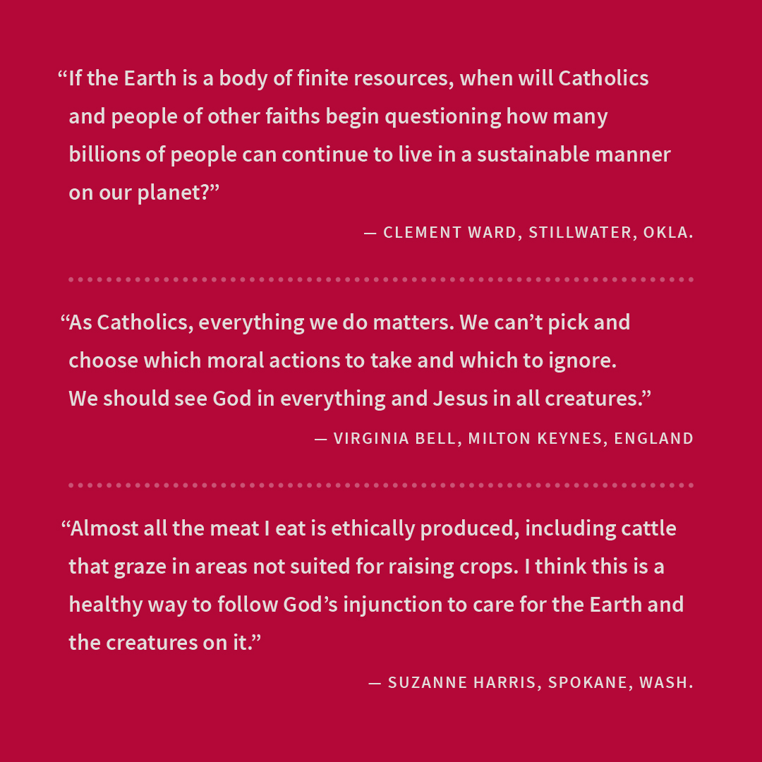 Can one person’s dietary decisions affect the common good? - U.S. Catholic