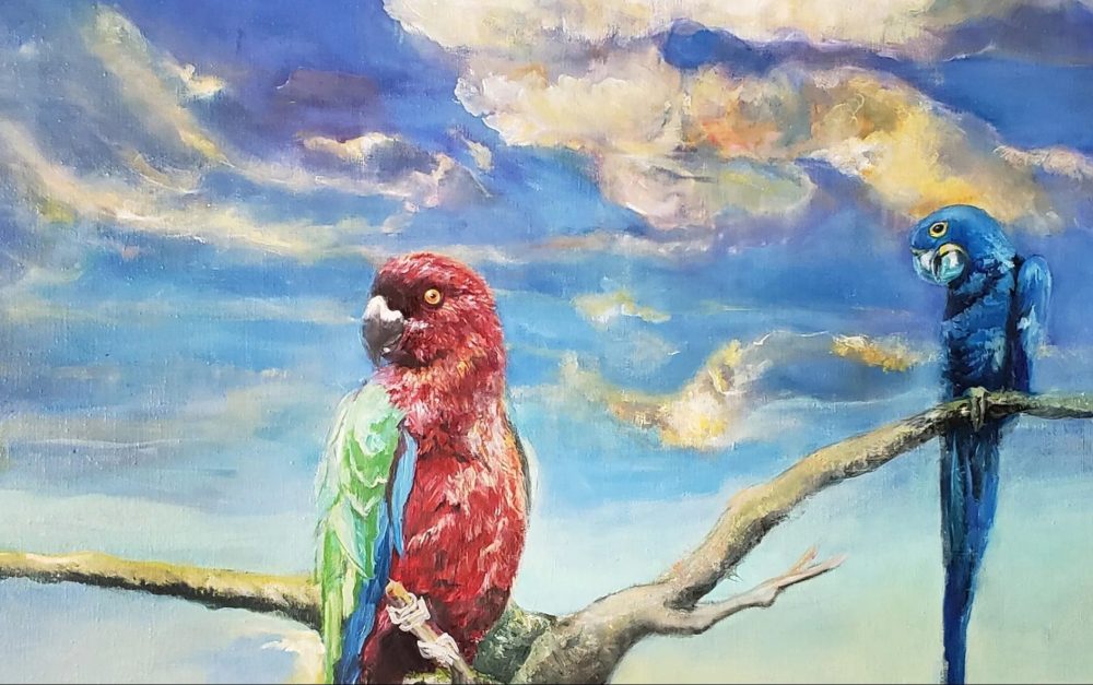 ‘God Save the Animals’ is a quirky search for something more - U.S ...