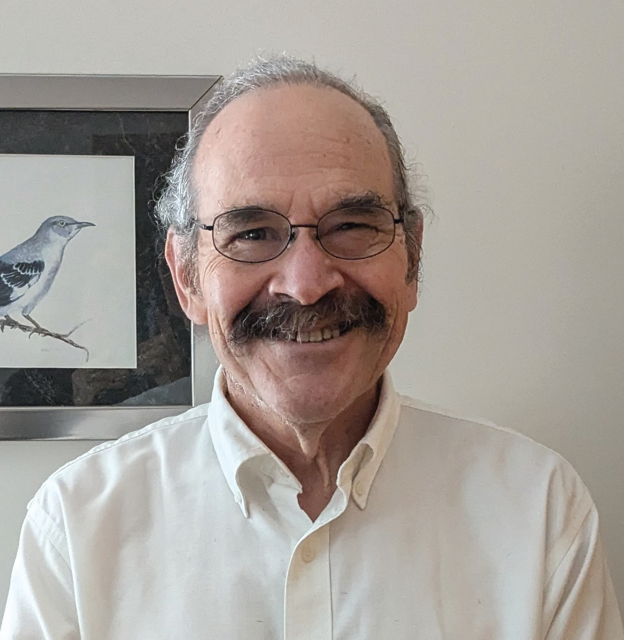 From doves to ravens, birds are everywhere in religion - U.S. Catholic