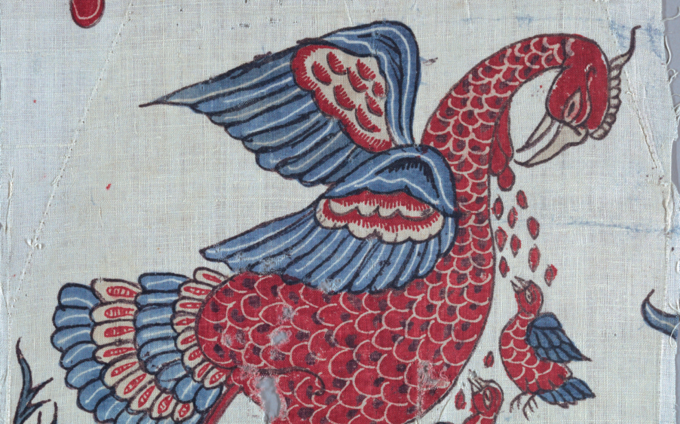 What can we learn when we look to the birds? - U.S. Catholic